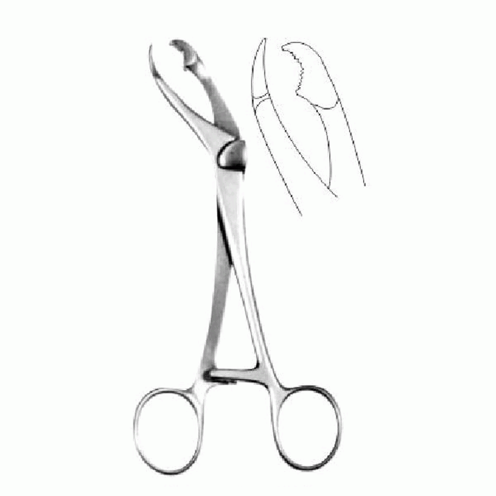 Verbrugge Bone Holding Forceps – Surgical Design Shop