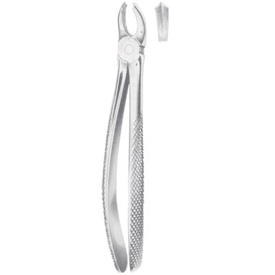 Tooth Forceps for dogs and other small animals – Surgical Design Shop